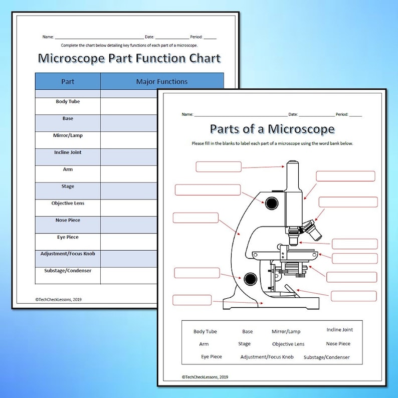 Parts of a Microscope Labeling & Functions Worksheet - Science Editable ...