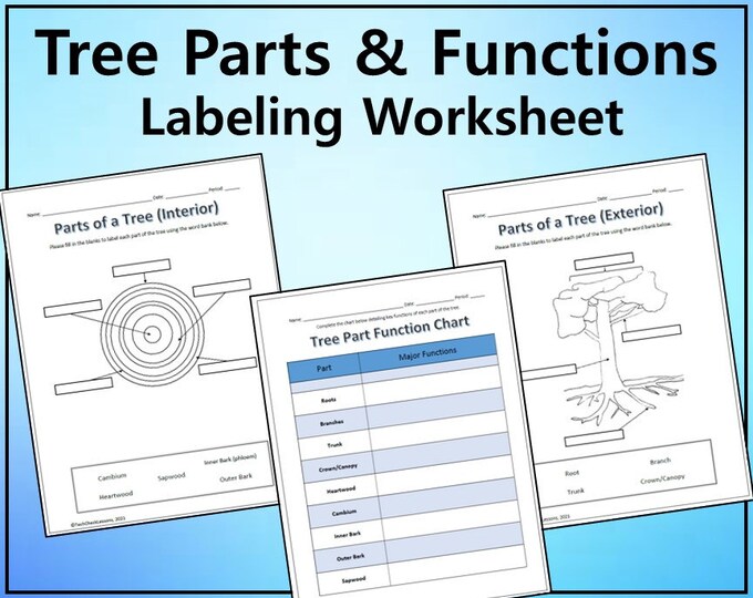 Parts of a Tree Science Labeling Worksheet Editable DIGITAL DOWNLOAD - Etsy