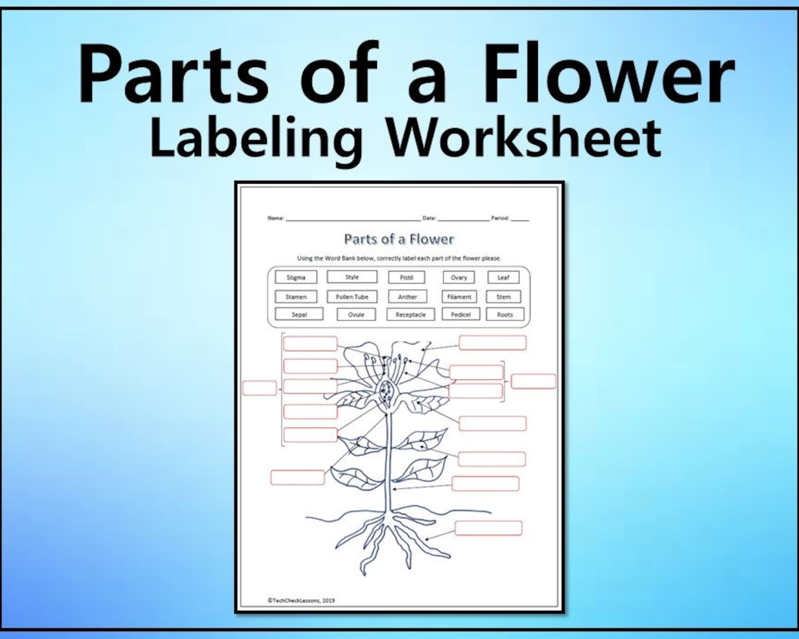 Parts of a Flower Labeling Science Worksheet - Editable DIGITAL ...