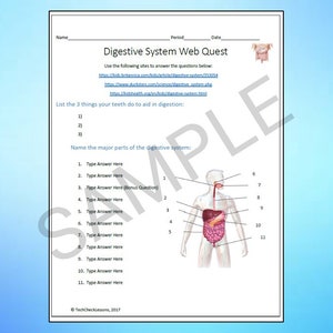 Digestive System Science Webquest Internet Activity - Editable DIGITAL ...