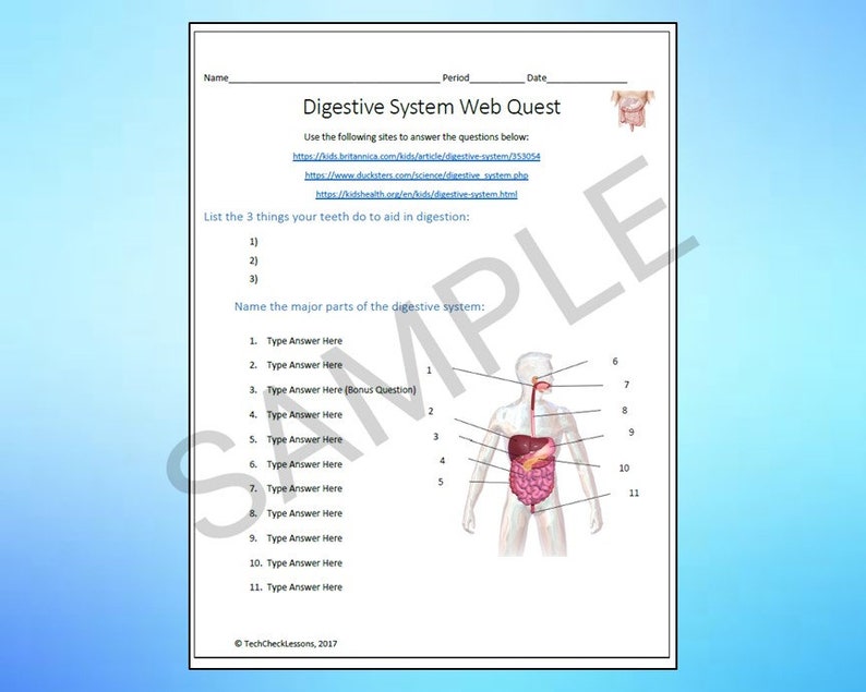 Digestive System Science Webquest Internet Activity - Editable DIGITAL ...