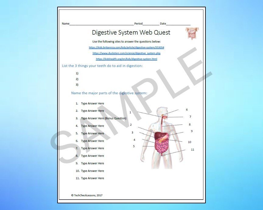 Digestive System Science Webquest Internet Activity - Editable DIGITAL ...