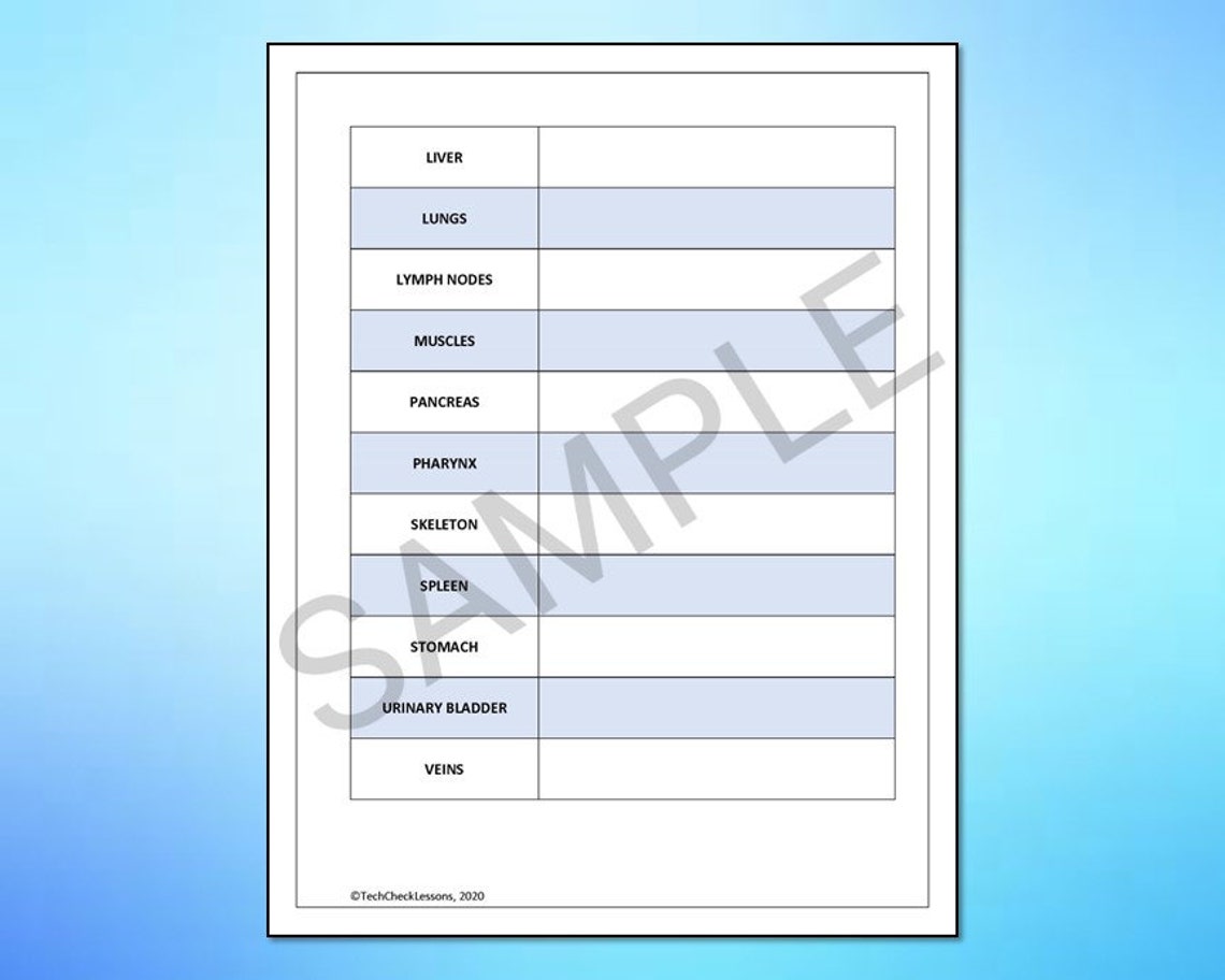 Internal Organs Labeling & Functions Science Worksheet/printable ...