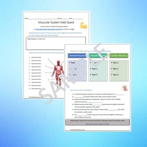 Body Systems Webquests Bundle (8) - Science - Editable DIGITAL DOWNLOAD ...
