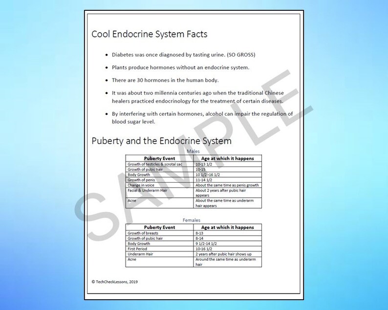 Endocrine System Science Webquest Internet Activity - Editable DIGITAL ...