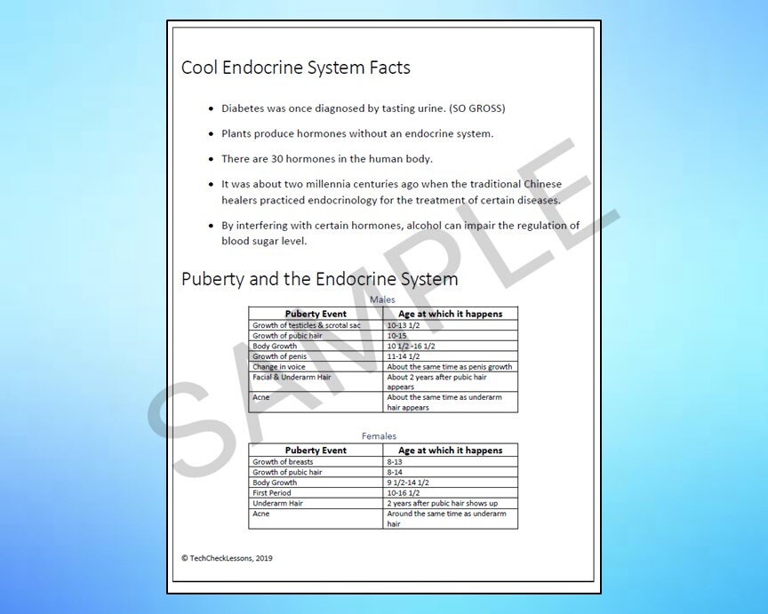 Endocrine System Science Webquest Internet Activity - Editable DIGITAL ...