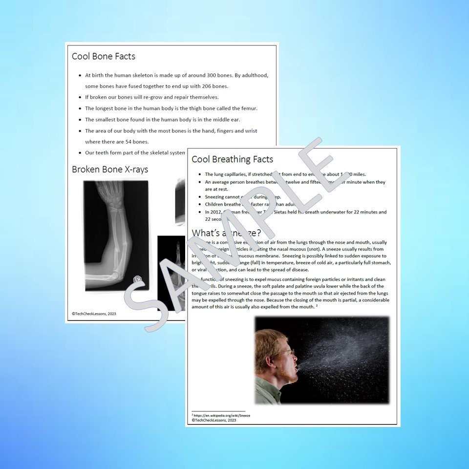 Body Systems Webquests Bundle 8 Science Editable DIGITAL DOWNLOAD - Etsy