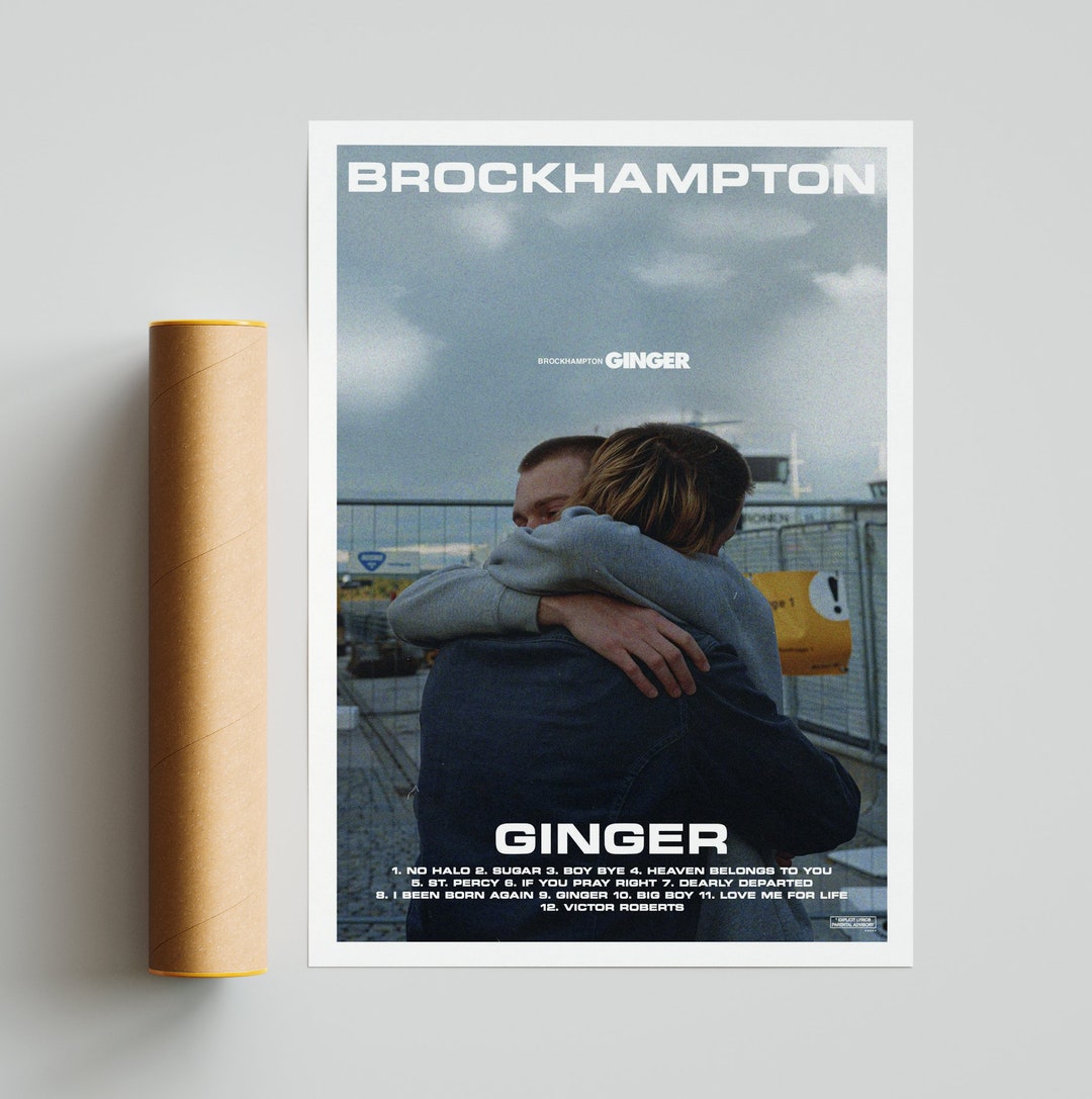 Brockhampton Album Poster / Ginger Poster / Album Cover Poster / Music ...