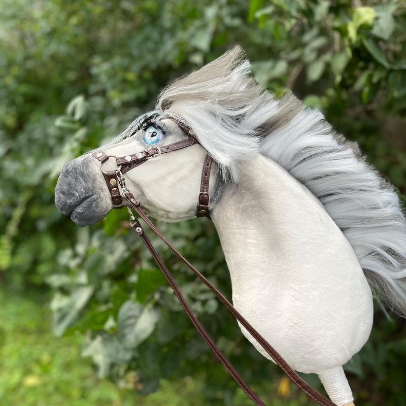 Realistic Hobbyhorses - Etsy