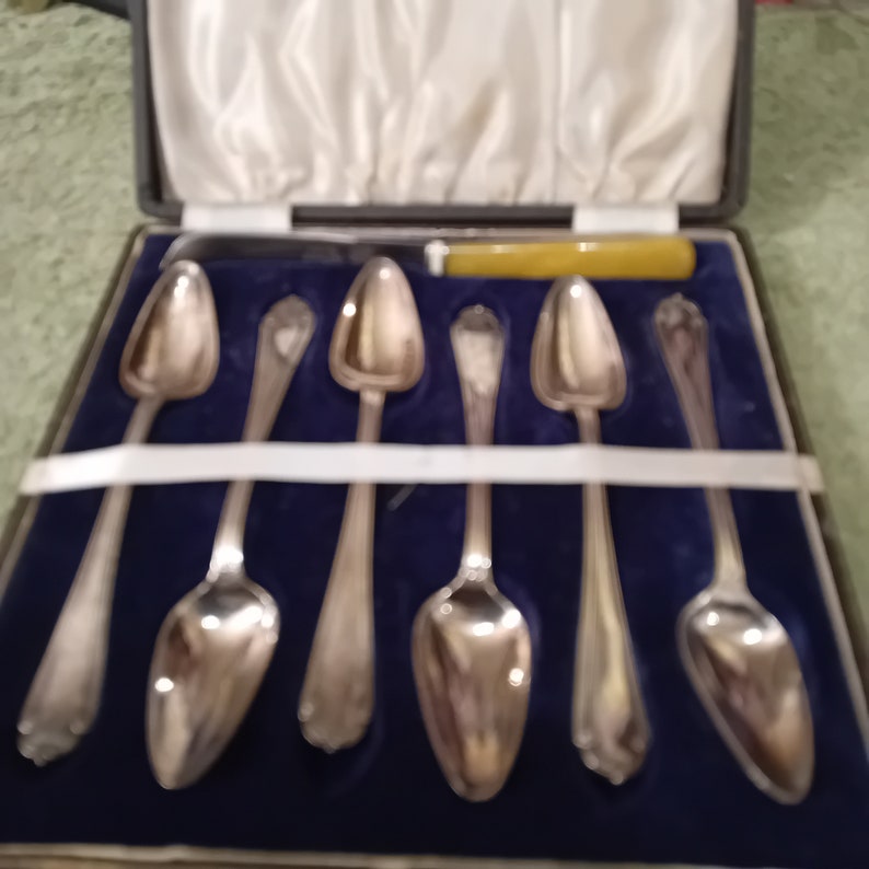 Six Vintage Boxed Sheffield EPNS Grapefruit Spoons Desert Spoons and ...