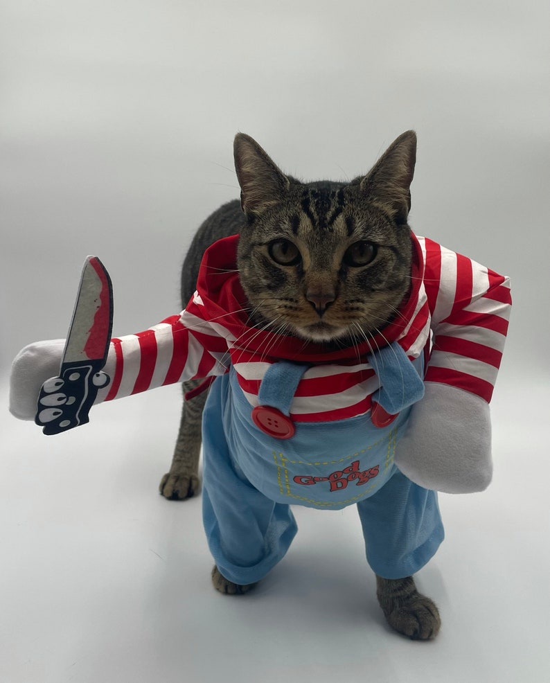 Chucky Cat Costume - Etsy