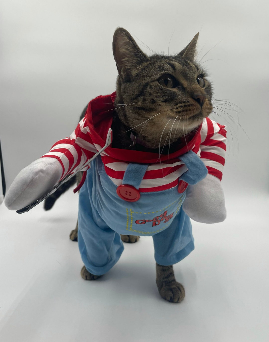 Chucky Cat Costume - Etsy