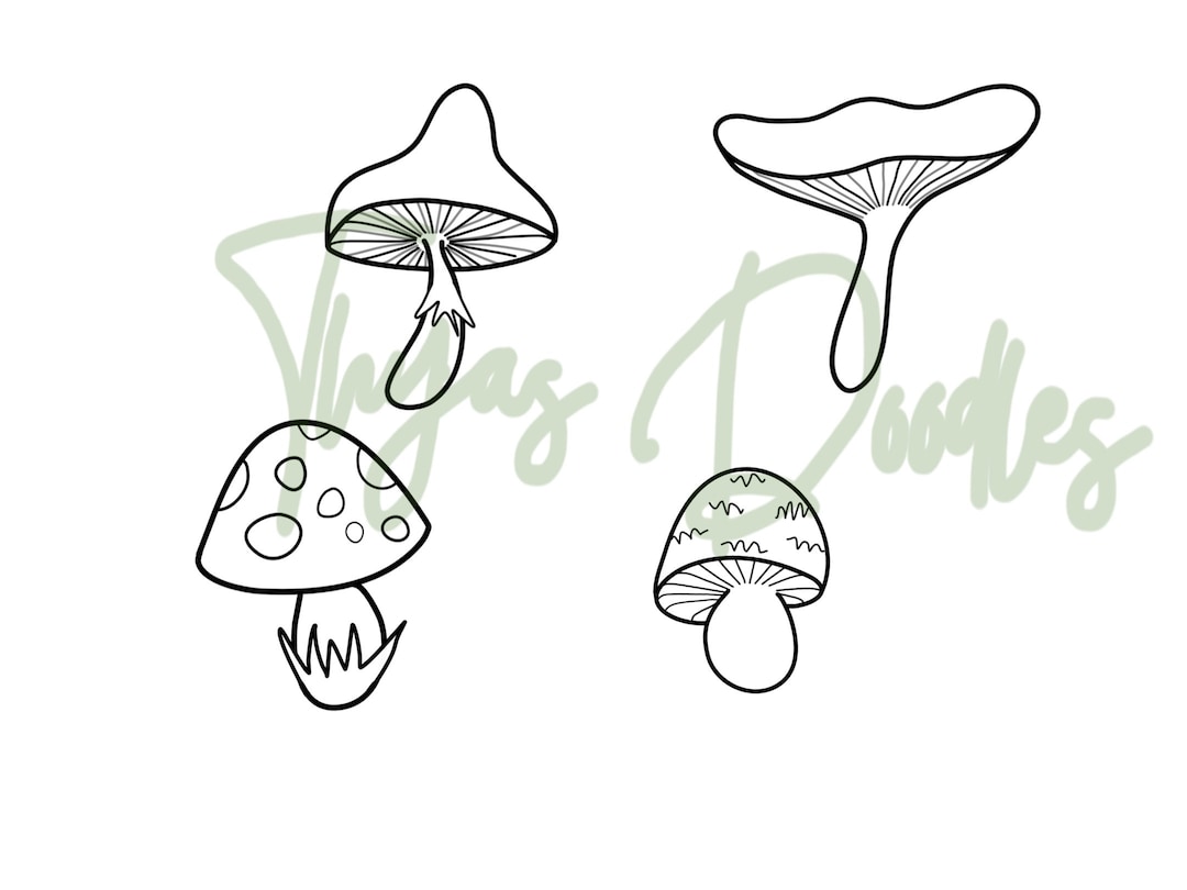 The Four Funghi 4 Mushrooms Hand Drawn High Quality Autumn Design ...