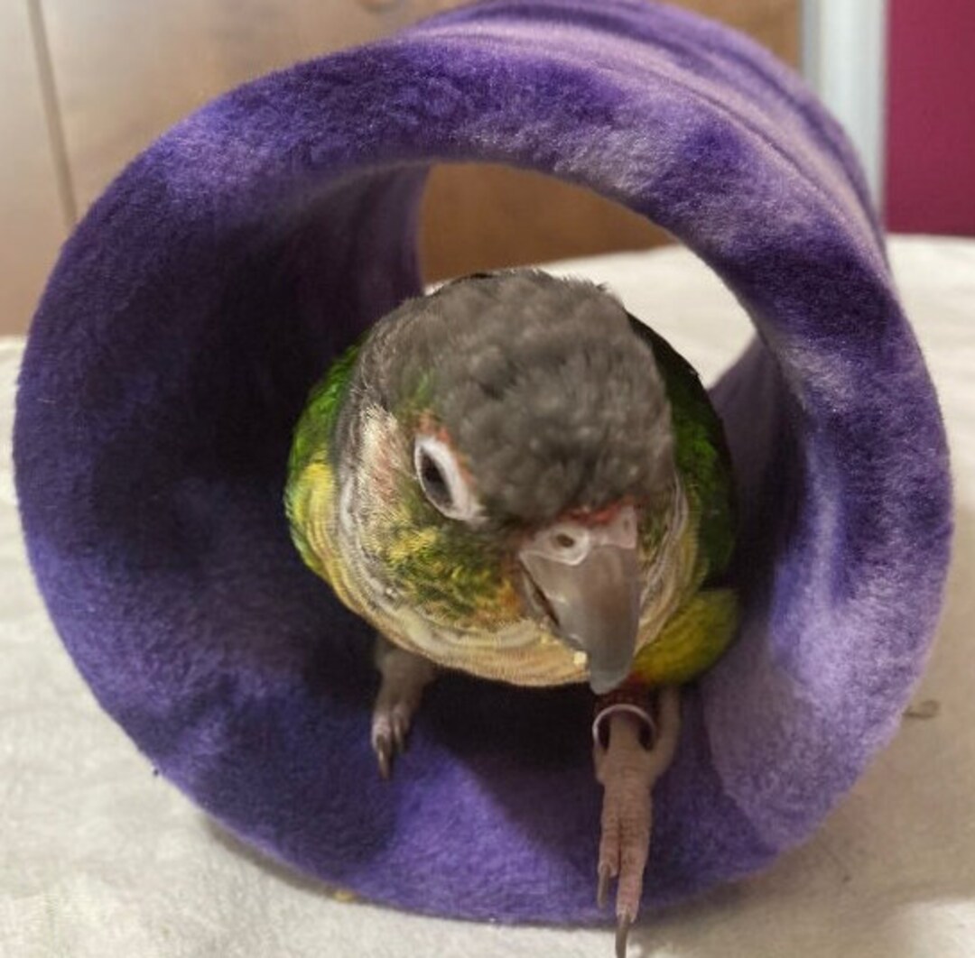 Cozy Bird Hut, Cracker's Comfy Purple Tie Dye Anti-pill Fleece Lined ...