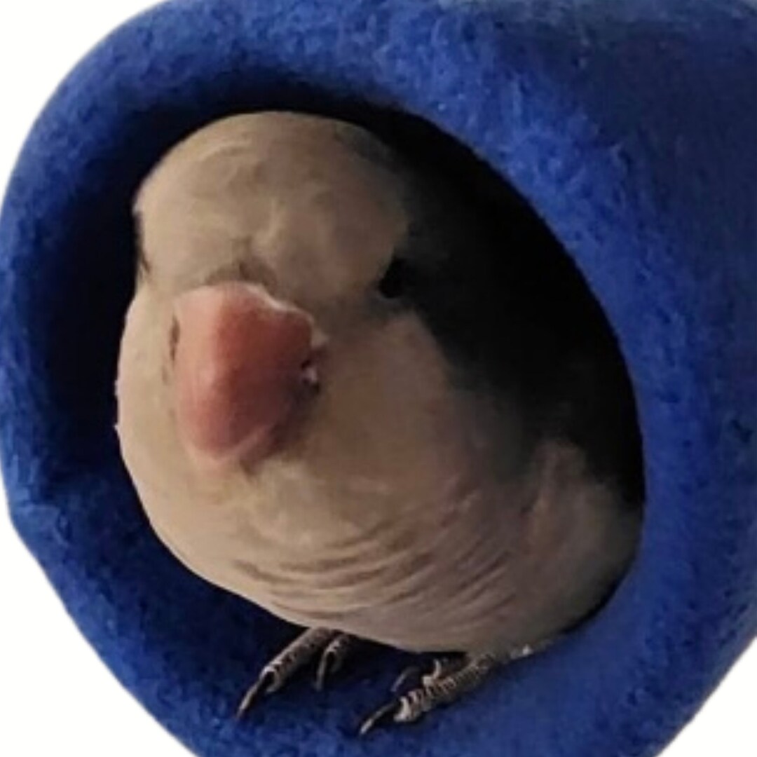Pet Tunnel Dark Blue Bird Tunnel, Cozy Parrot Tent, Comfy Tunnel ...