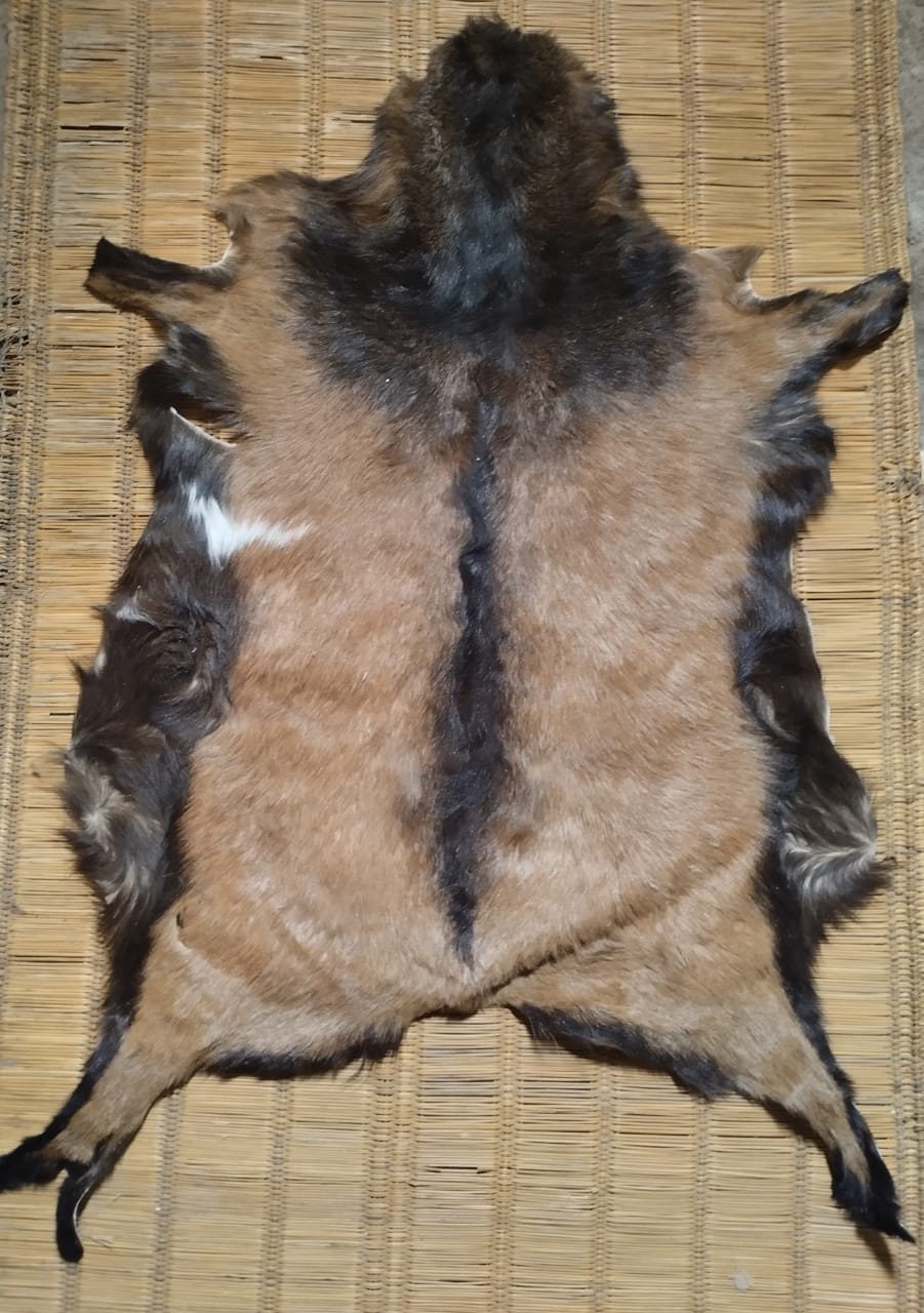 Genuine Animal Skin Rugs