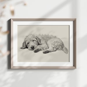 how to draw a realistic golden doodle
