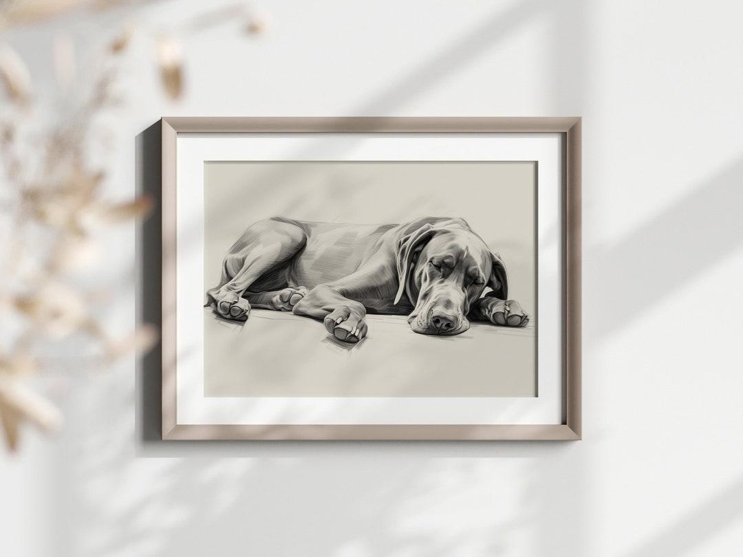 Great Dane Art Print - Great Dane Drawing - Wall Decor - Pencil Sketch ...