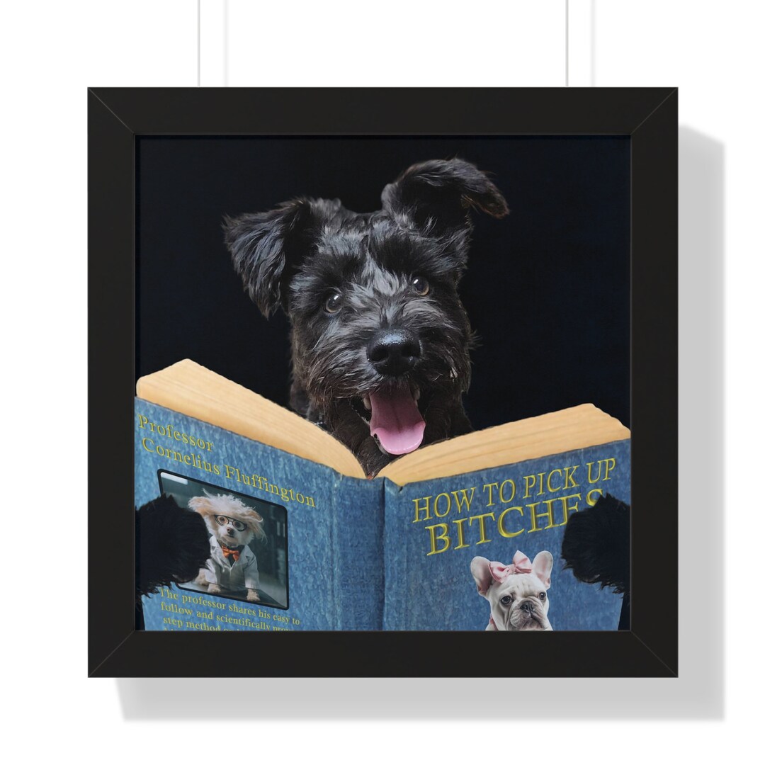 Black Miniature Schnauzer Reading a Book on How to Pick up Bitches ...