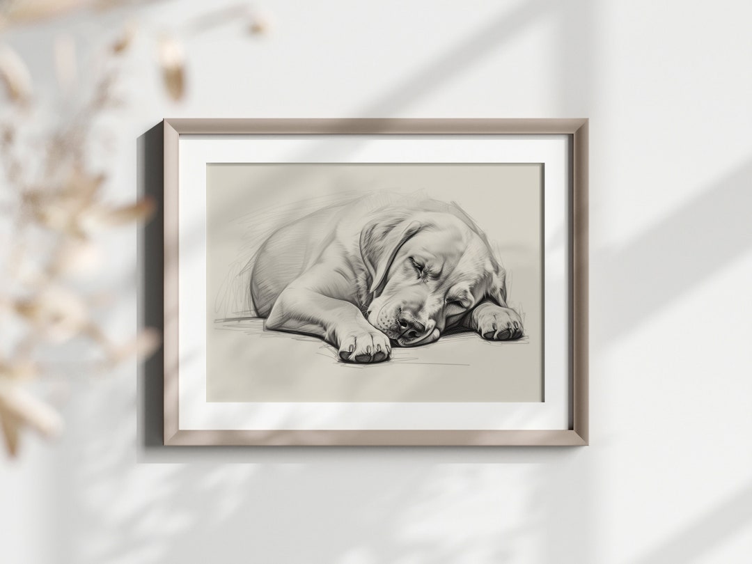 Yellow Lab Print - Labrador Retriever Drawing - Wall Decor - Pencil ...