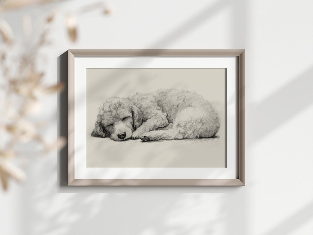 Poodle Print - Poodle Drawing - Wall Decor - Pencil Sketch - Digital ...