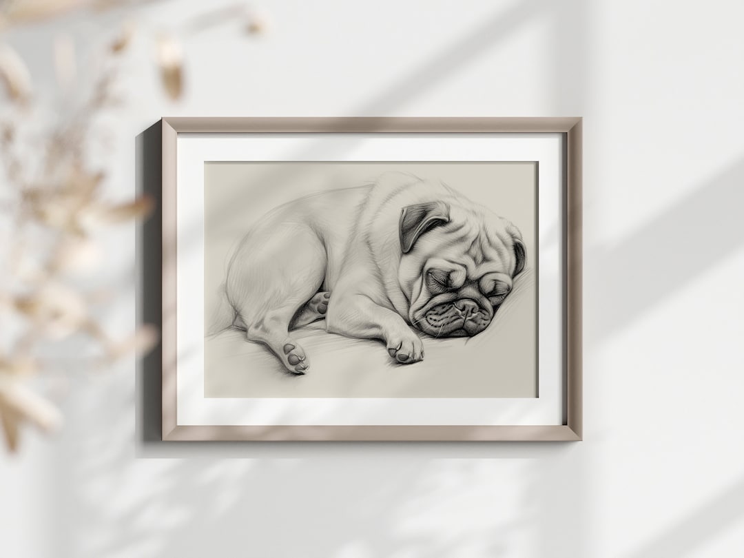 Pug Print - Pug Drawing - Wall Decor - Pencil Sketch - Digital Art - Etsy