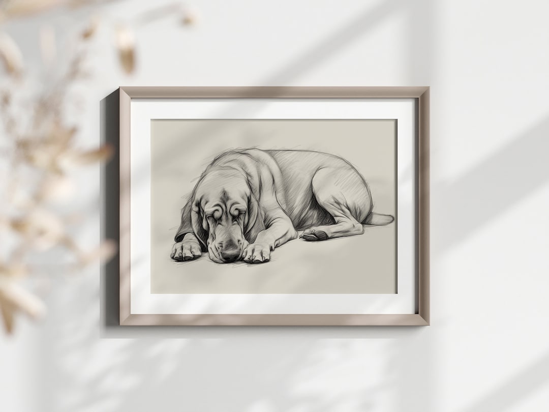 Bloodhound Art Print - Bloodhound Drawing - Wall Decor - Pencil Sketch ...