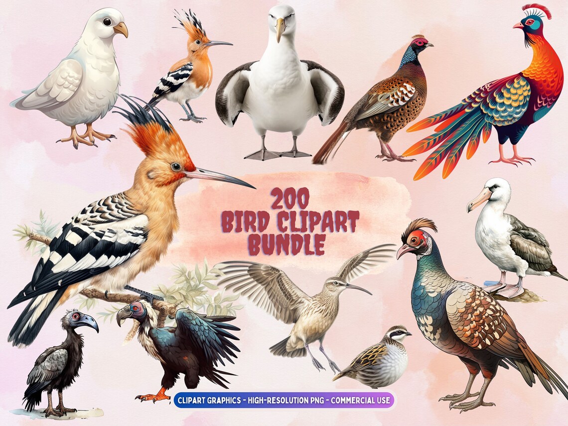 200 Bird Clipart Bundle PNG Images of Birds for Digital Scrapbooking ...