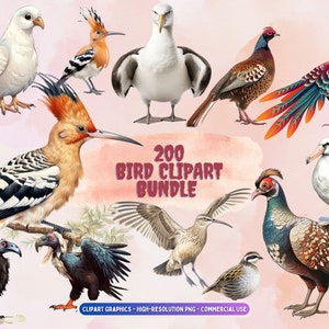 200 Bird Clipart Bundle PNG Images of Birds for Digital Scrapbooking ...
