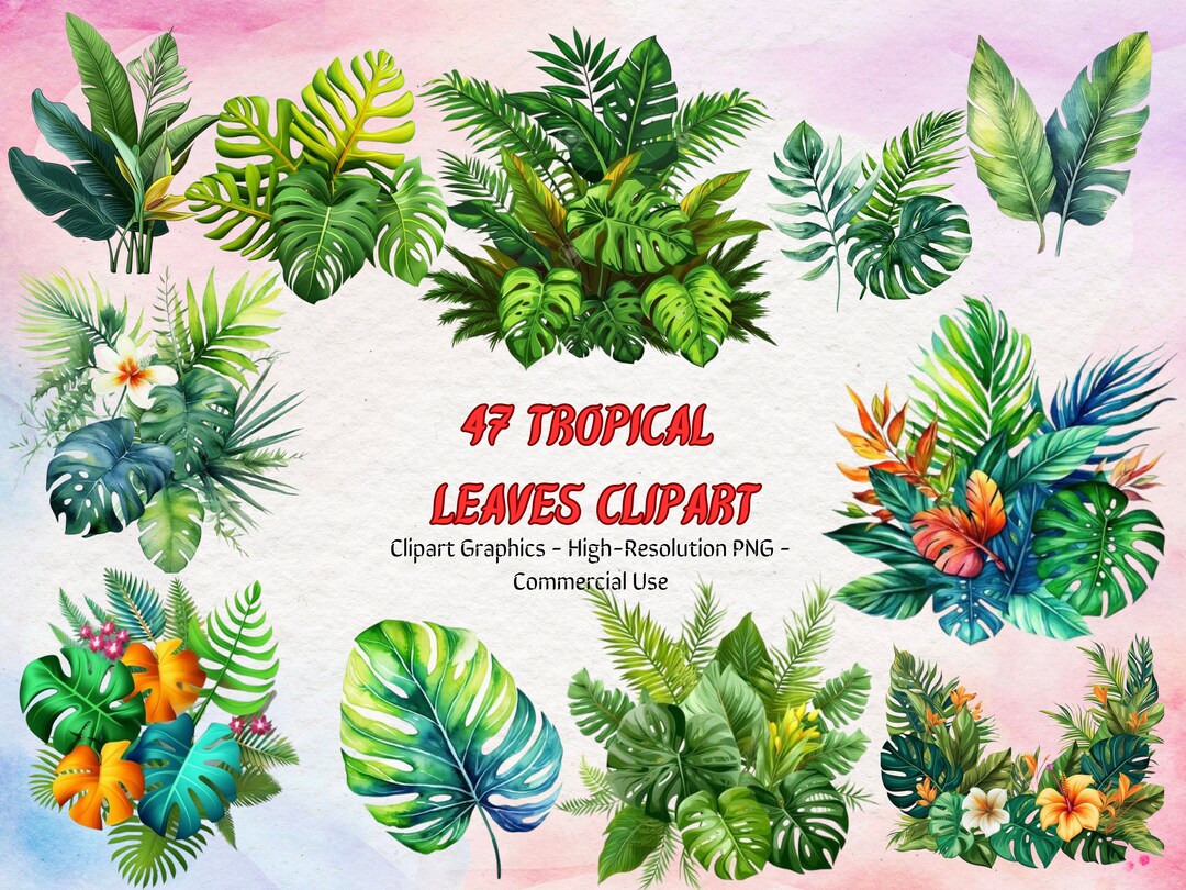 47 Tropical Leaves Clipart, Green Leaf's, Palm Leaf, Greenery Spring ...