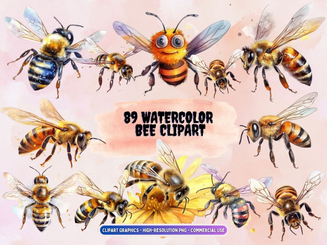 89 Watercolor Bee Clipart, Bee PNG, High Resolution, Bee Art, Bee ...