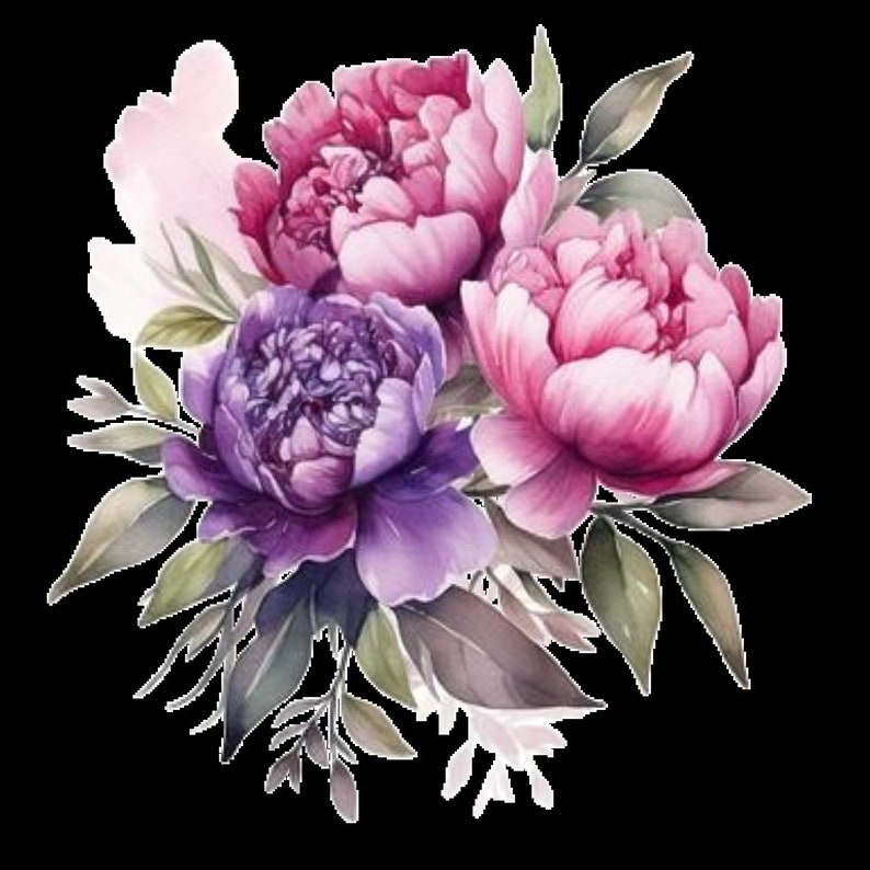 88 Purple & White Peonies Watercolor Clipart Floral Clipart - Etsy