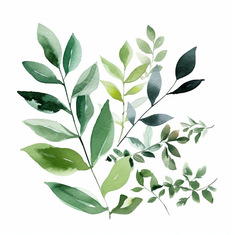 65 Leaves SVG Bundle Leaves SVG Plant Svg Paper Leaves Leaf - Etsy