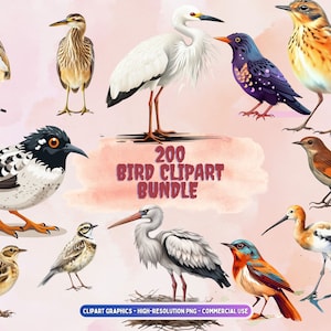 200 Bird Clipart Bundle PNG Images of Birds for Digital Scrapbooking ...