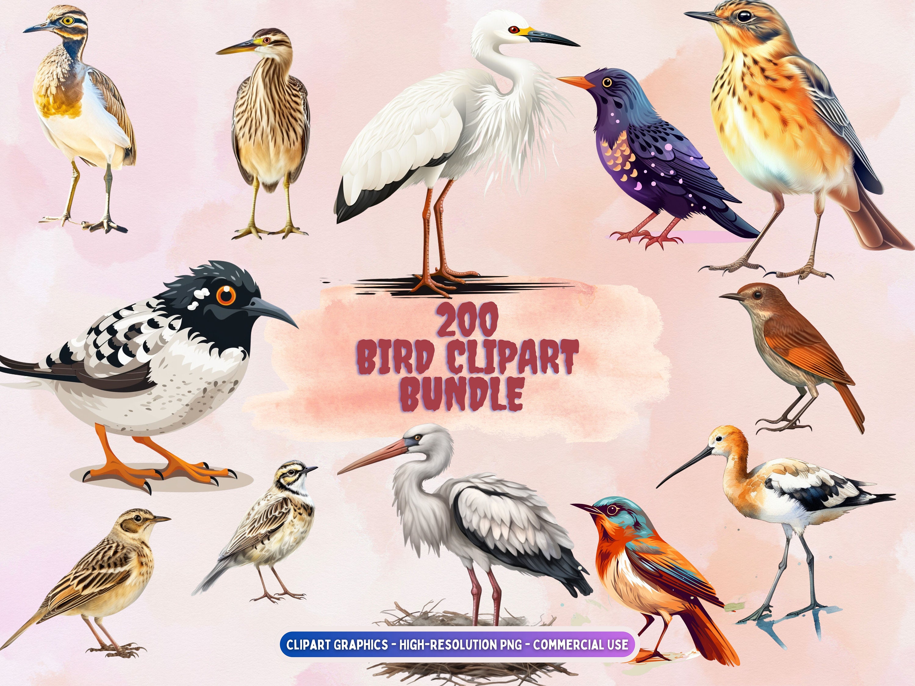 200 Bird Clipart Bundle PNG Images of Birds for Digital Scrapbooking ...
