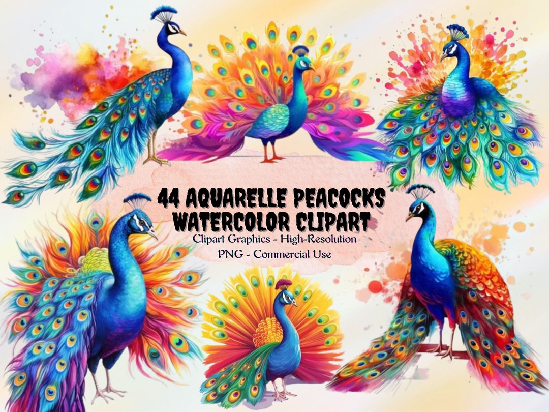 44 Aquarelle Peacocks Watercolor Clipart Bundle PNG Images, Majestic ...