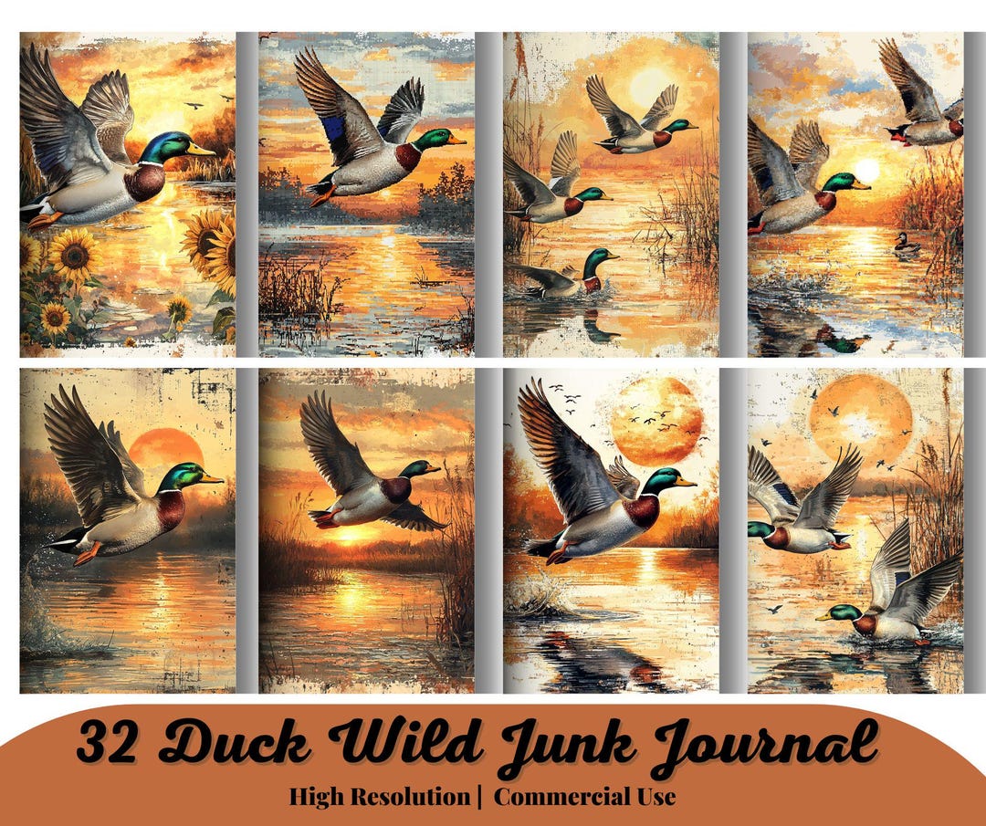 32 Mallard Duck, Wild Duck, Sunset Wetland Hunting, Flying Ducks ...