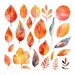 Watercolor Fall Leaves Clipart Autumn Clipart Fall Clipart Thanksgiving ...