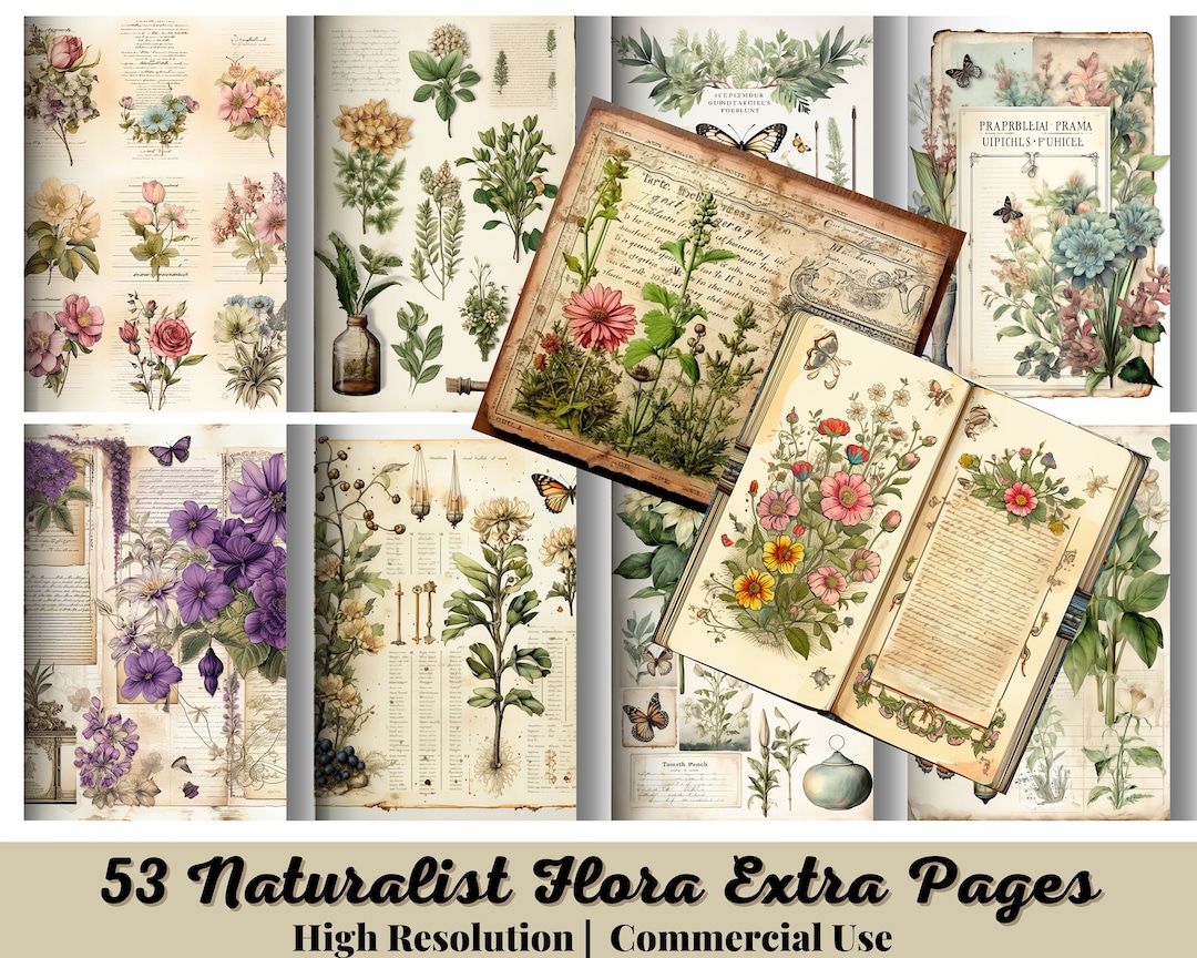 53 Naturalist Flora Extra Pages, Junk Journal, Naturalist, Flora, EXTRA ...