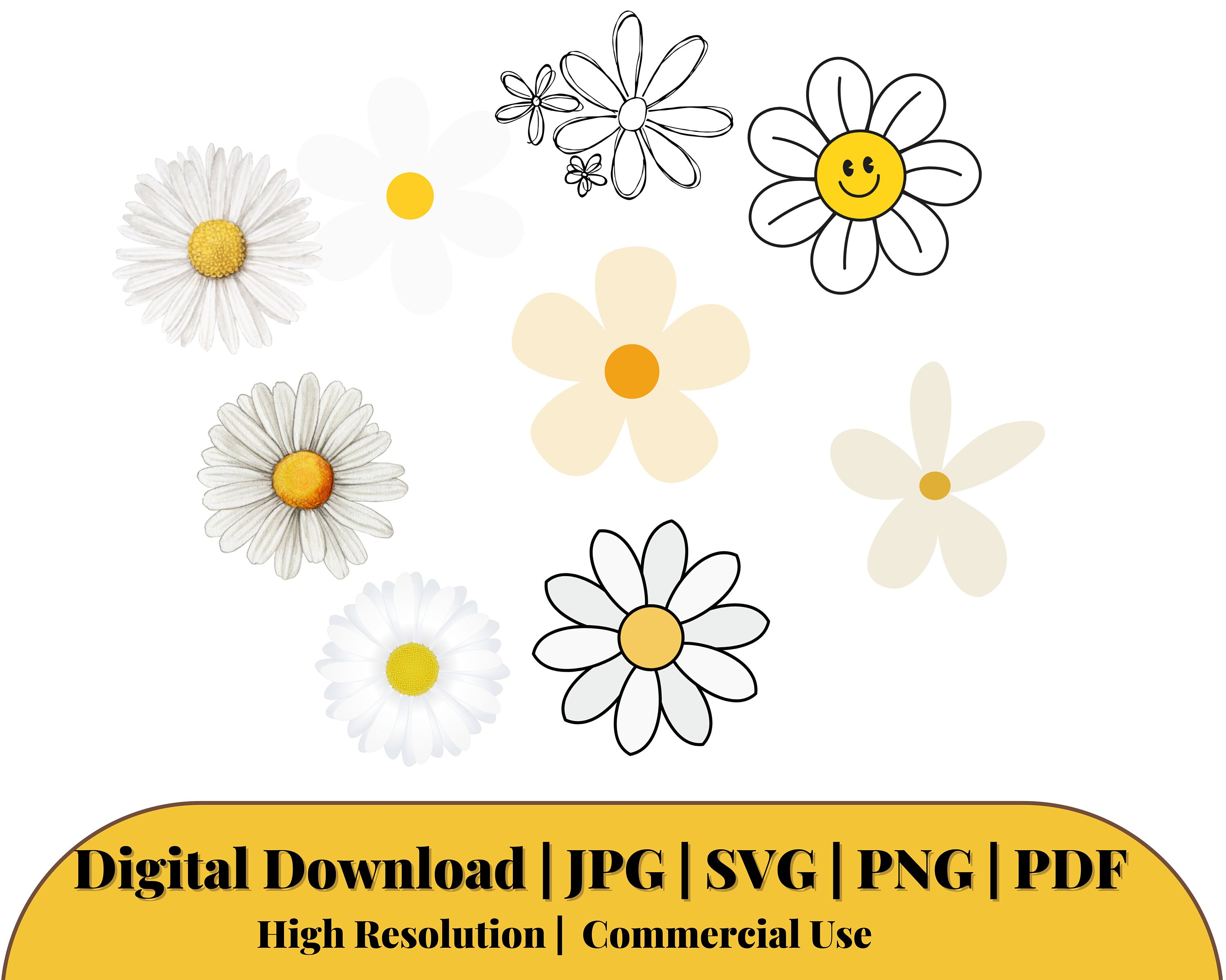 Daisy Svg Flower Svg Floral SVG Daisy Png Spring Svg - Etsy