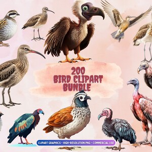 200 Bird Clipart Bundle PNG Images of Birds for Digital Scrapbooking ...