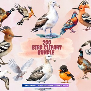 200 Bird Clipart Bundle PNG Images of Birds for Digital Scrapbooking ...