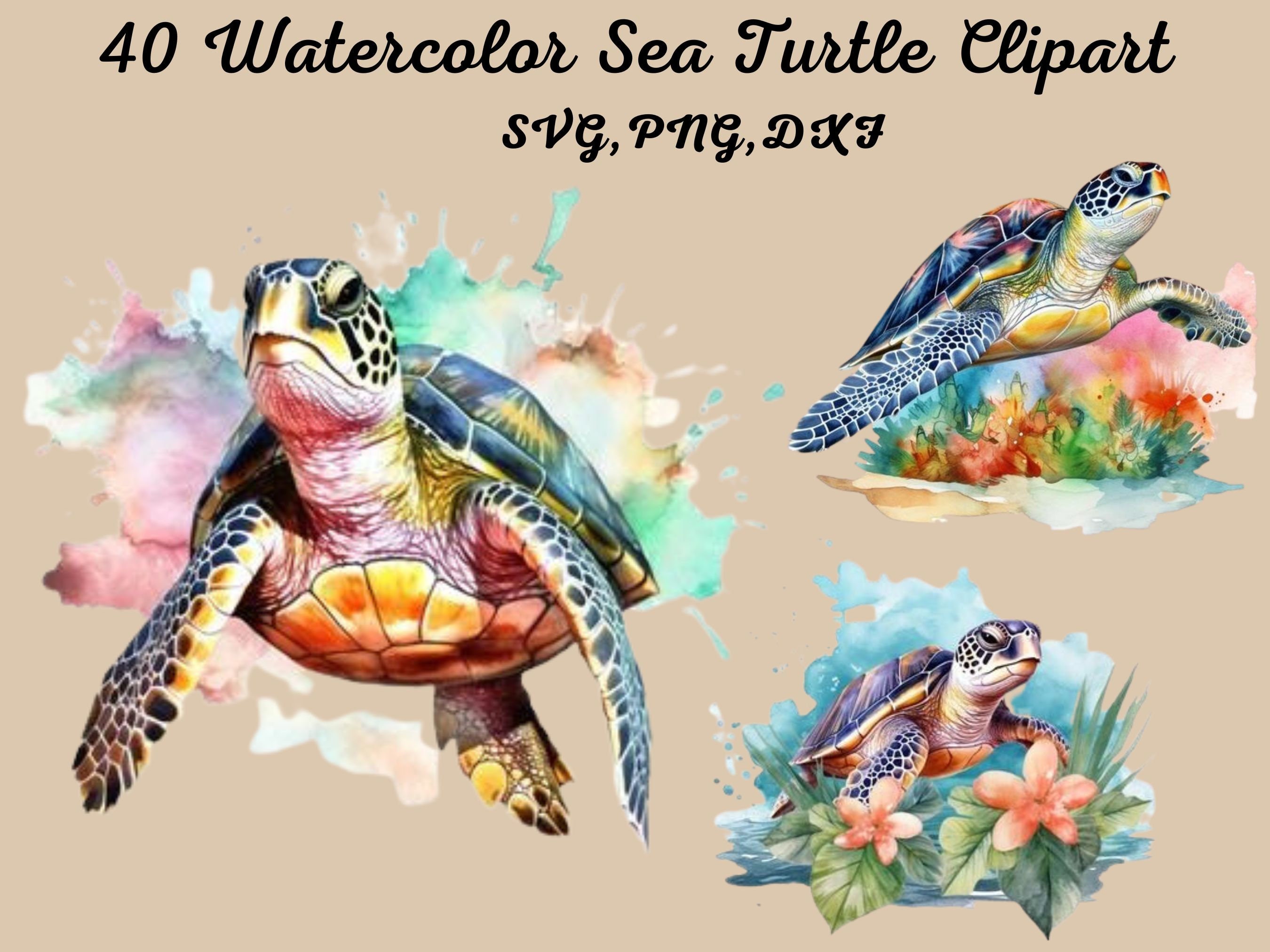 40 Watercolor Sea Turtle Clipart Bundle High-resolution - Etsy