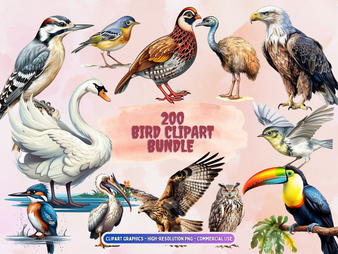 200 Bird Clipart Bundle PNG Images of Birds for Digital Scrapbooking ...