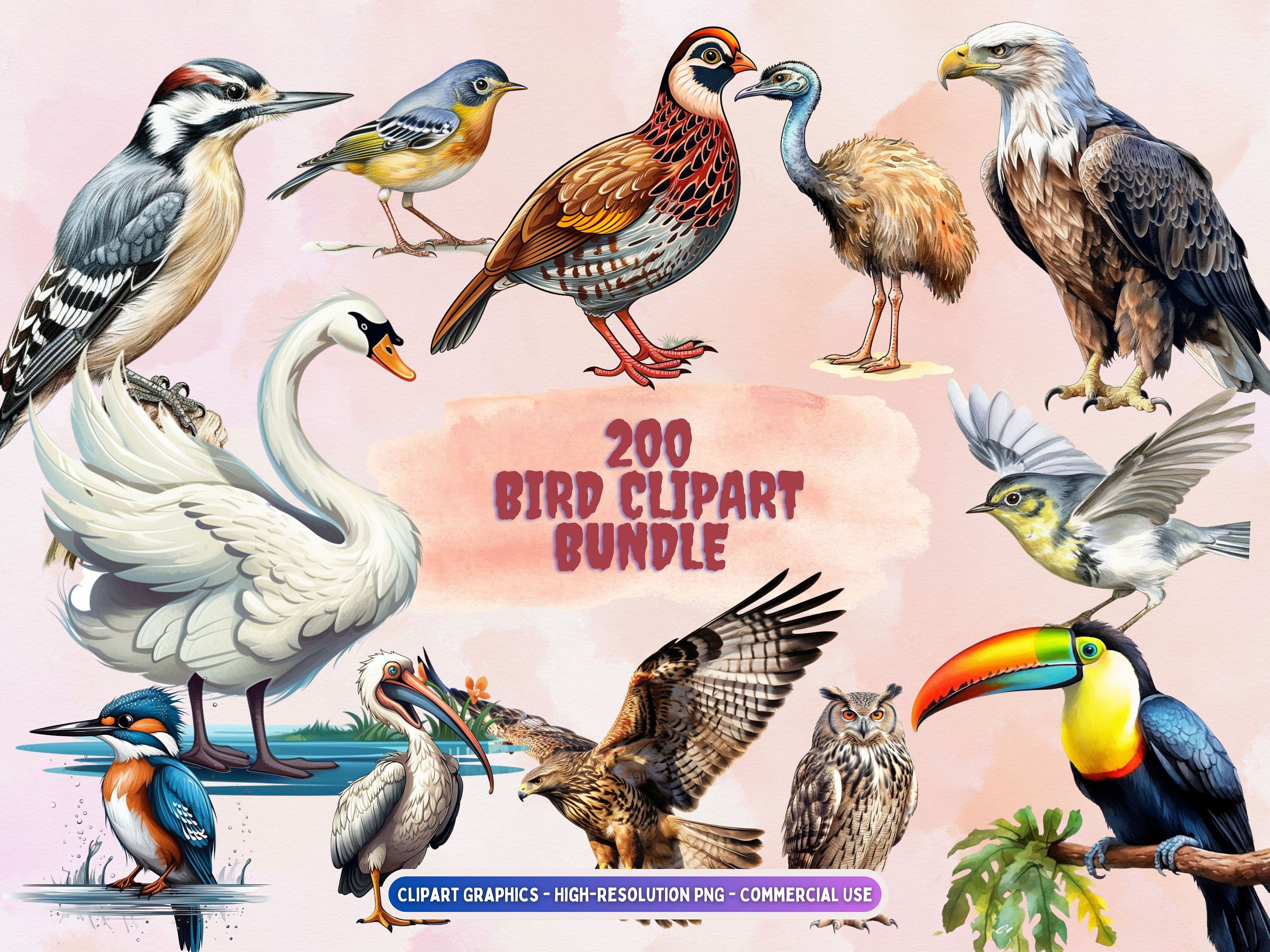 200 Bird Clipart Bundle PNG Images of Birds for Digital - Etsy