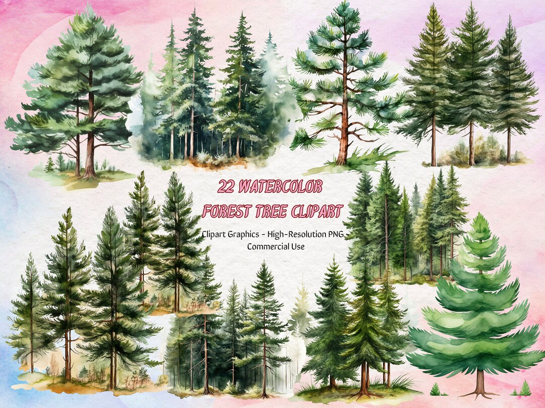 22 Watercolor Forest Tree Clipart, Pine Tree Png , Woodland Tree ...