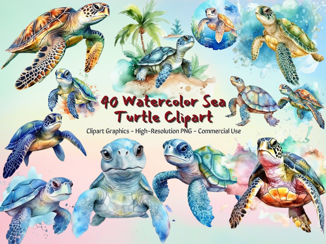 40 Watercolor Sea Turtle Clipart Bundle High-resolution PNG, Images for ...