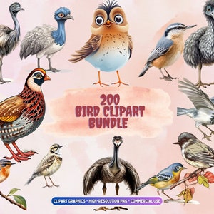 200 Bird Clipart Bundle PNG Images of Birds for Digital Scrapbooking ...