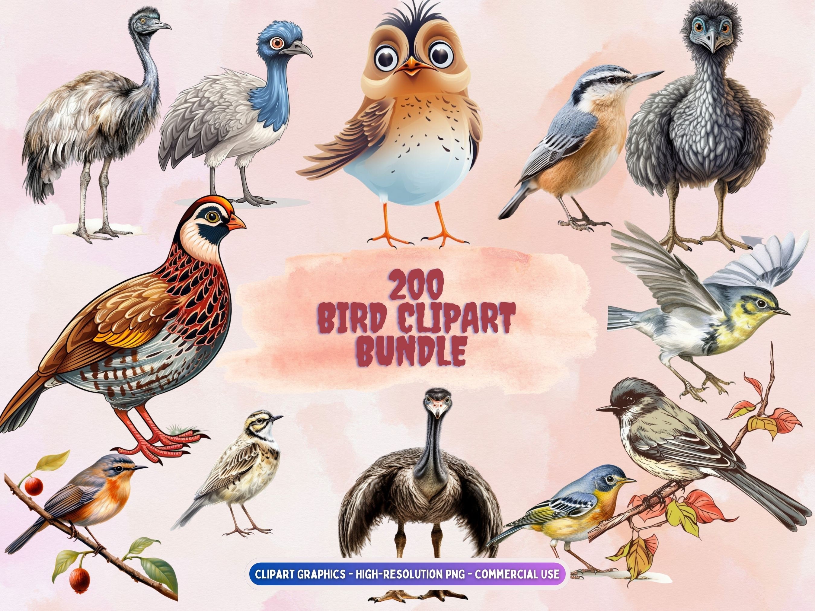 200 Bird Clipart Bundle PNG Images of Birds for Digital - Etsy