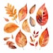 Watercolor Fall Leaves Clipart Autumn Clipart Fall Clipart Thanksgiving ...